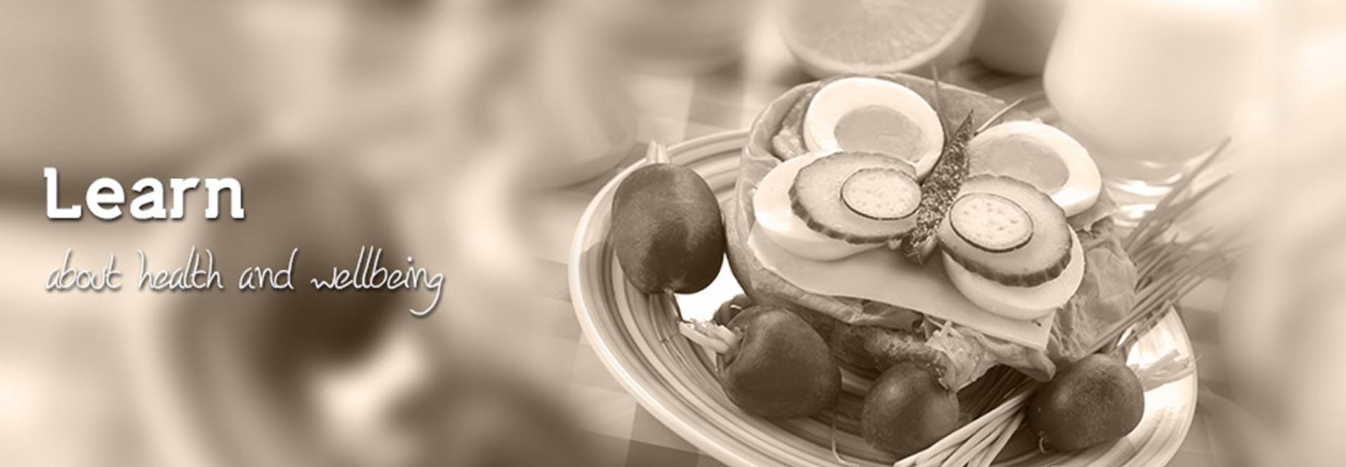 Day One Early Learning Centres